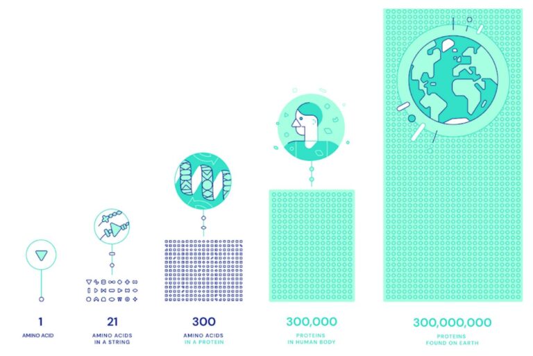 Alphafold 3 de Google transforma la biología con la predicción ...
